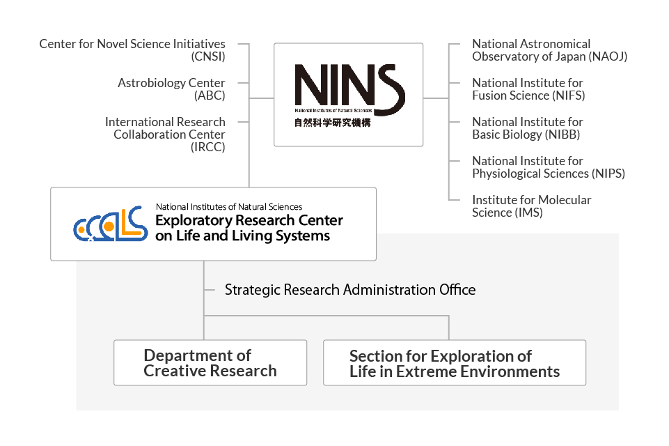 Organization Chart – The Exploratory Research Center on Life and Living ...